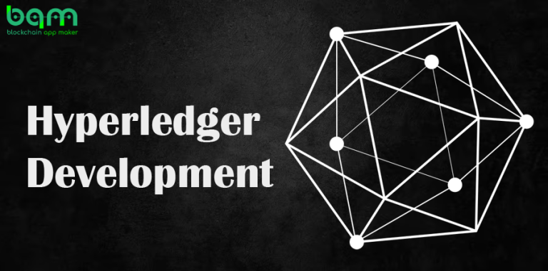 Hyperledger Development Company-Blockchain App Maker
